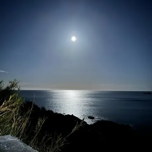 barcaioli ponza 01